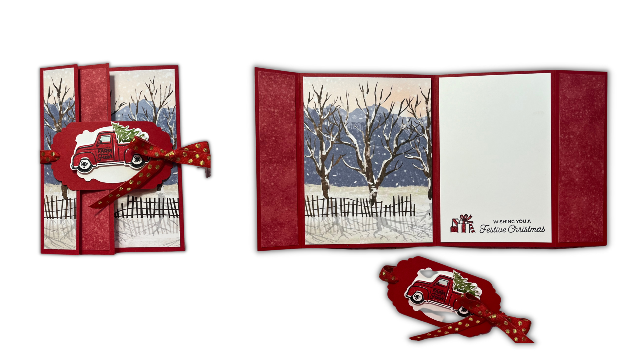 A Different Kind of Tri Fold Card Tutorial - Kristina Rees ...